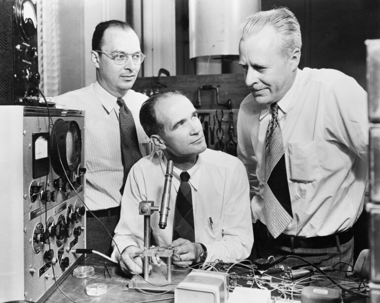 The Transistor: The Foundation of Modern Electronics – The Code Academy